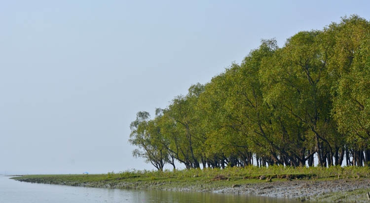 Enjoy the nature at Nijum Dip | The Asian Age Online, Bangladesh