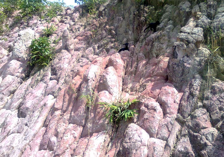 Birishiri: Tranquil beauty of Netrokona | The Asian Age Online, Bangladesh