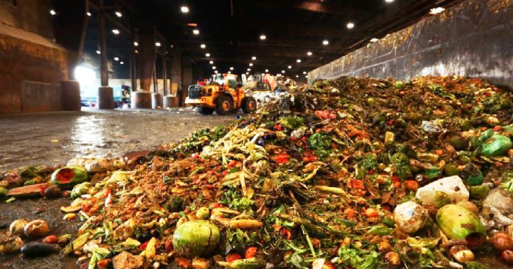 Consumers waste much more food than commonly believed: study | The ...