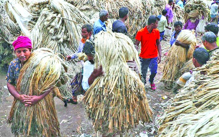 Jute exports get momentum | The Asian Age Online, Bangladesh