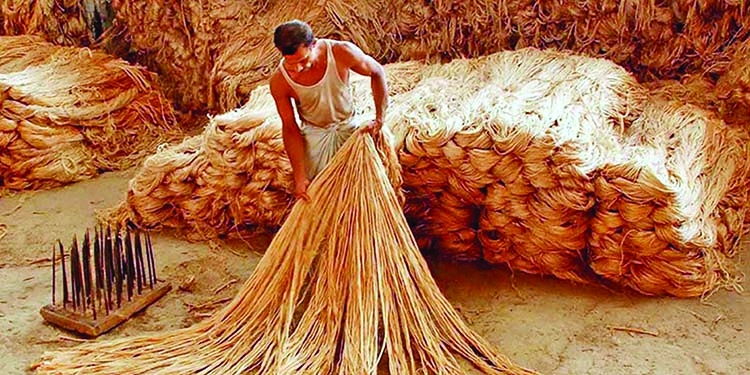 Bright future beacons the jute sector | The Asian Age Online, Bangladesh