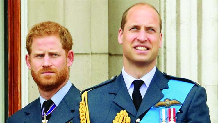 Harry accuses Prince William of screaming at him | The Asian Age Online ...