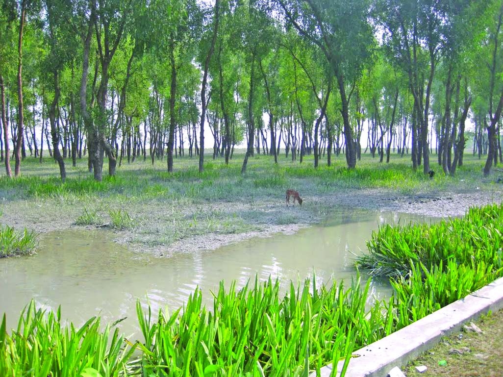 Haringhata: Spectacular visiting places in Pathorghata | The Asian Age ...
