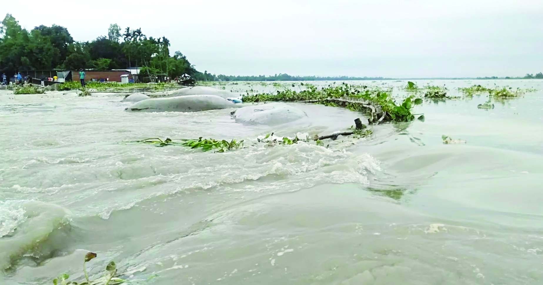 Onrush of upstream water, rain trigger flood in Kurigram | The Asian Age Online, Bangladesh