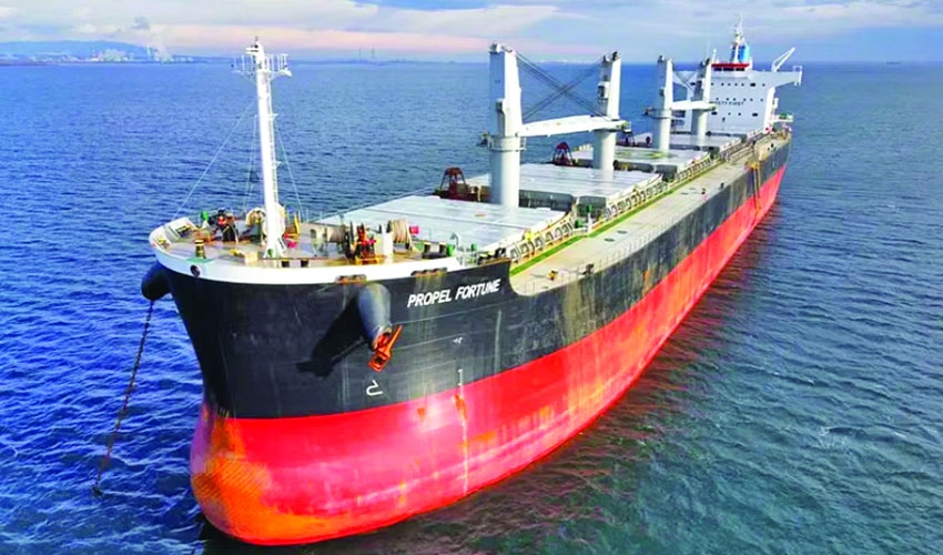 Houthis target Singapore flagged cargo ship | The Asian Age Online ...