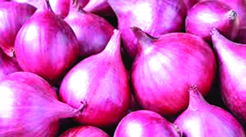 100 metric tonnes of Indian onion arrive | The Asian Age Online, Bangladesh