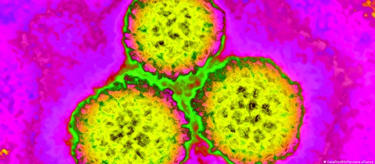 'Prevent cancer before it starts': New WHO study maps risks | The Asian ...